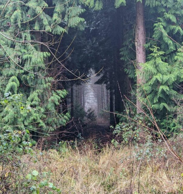 40 Hauntingly Eerie Liminal Places That Defy The Bounds Of Reality ...