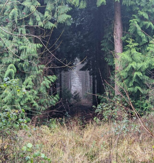 40 Hauntingly Eerie Liminal Places That Defy The Bounds Of Reality ...