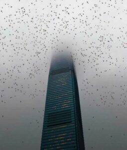 40 Hauntingly Eerie Liminal Places That Defy The Bounds Of Reality ...