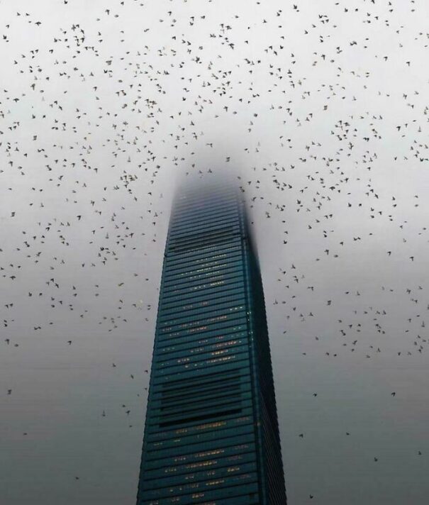 40 Hauntingly Eerie Liminal Places That Defy The Bounds Of Reality ...