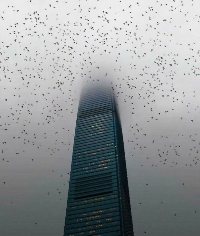 40 Hauntingly Eerie Liminal Places That Defy The Bounds Of Reality ...