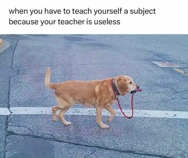 “Keep Studying, You Can Cry After You Become A Doctor”: 25 Relatable ...