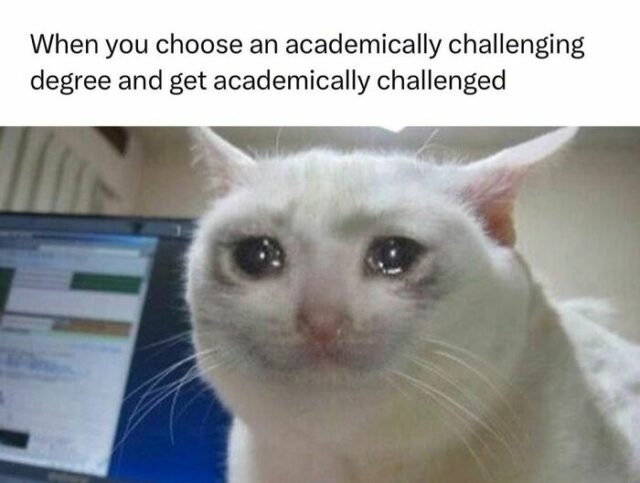 “Keep Studying, You Can Cry After You Become A Doctor”: 25 Relatable ...