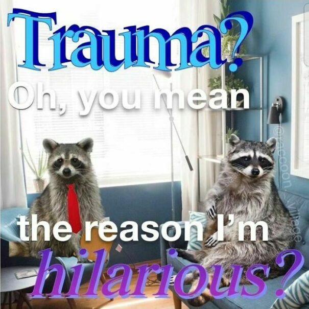 25 Dark Humour Raccoon Memes That The Internet Is Obsessed With | DeMilked