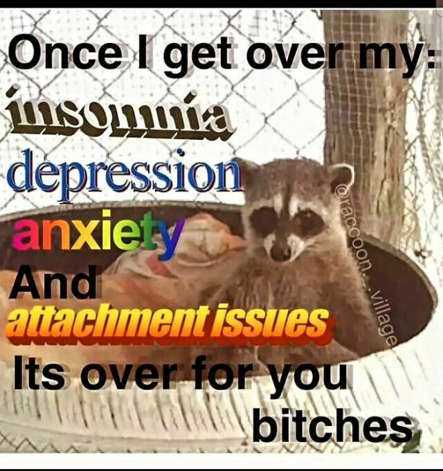 25 Dark Humour Raccoon Memes That The Internet Is Obsessed With | DeMilked