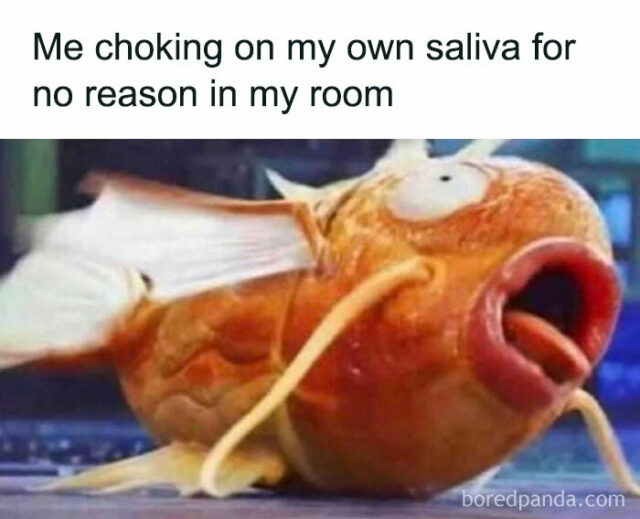 40 Of The Most Hilarious Random Memes Found On The ‘Meme Life’ Page ...