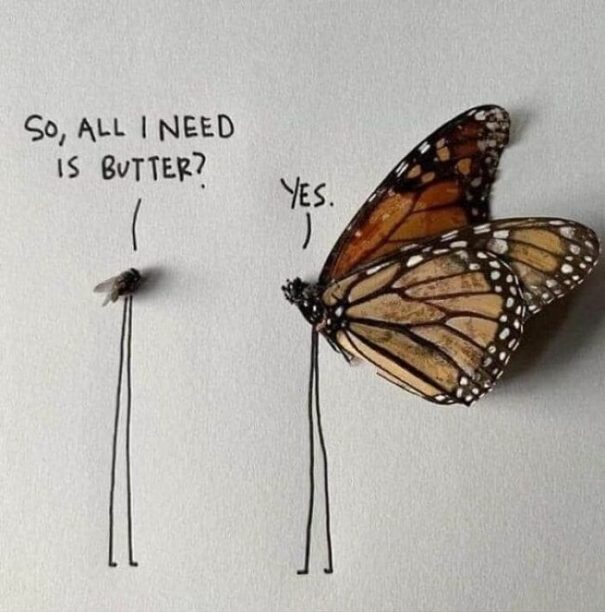 40 Of The Most Hilarious Random Memes Found On The ‘Meme Life’ Page ...