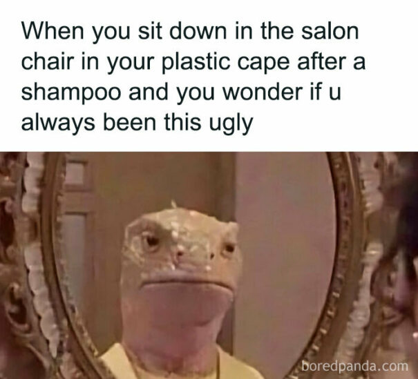 40 Of The Most Hilarious Random Memes Found On The ‘Meme Life’ Page ...