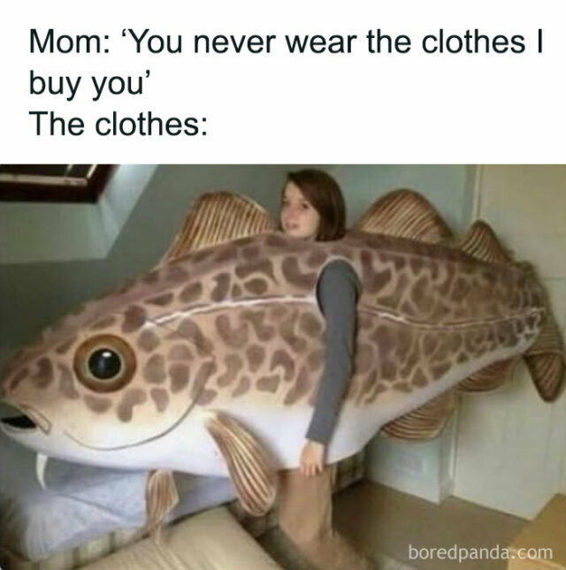 40 Of The Most Hilarious Random Memes Found On The ‘Meme Life’ Page ...