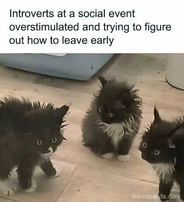 40 Of The Most Hilarious Random Memes Found On The ‘Meme Life’ Page ...