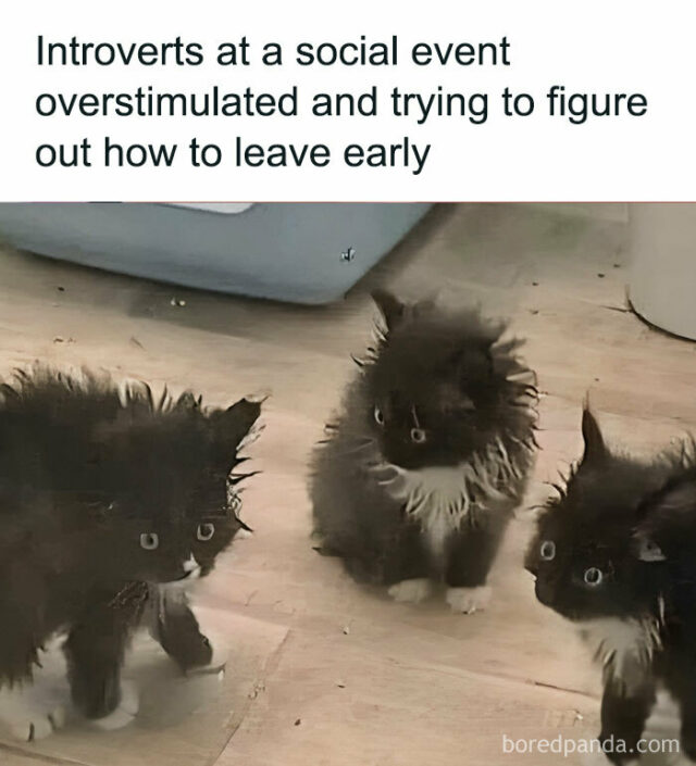 40 Of The Most Hilarious Random Memes Found On The ‘Meme Life’ Page ...