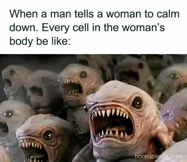 40 Of The Most Hilarious Random Memes Found On The ‘Meme Life’ Page ...