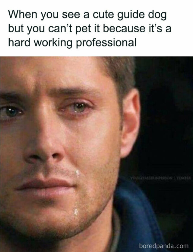 40 Of The Most Hilarious Random Memes Found On The ‘Meme Life’ Page ...