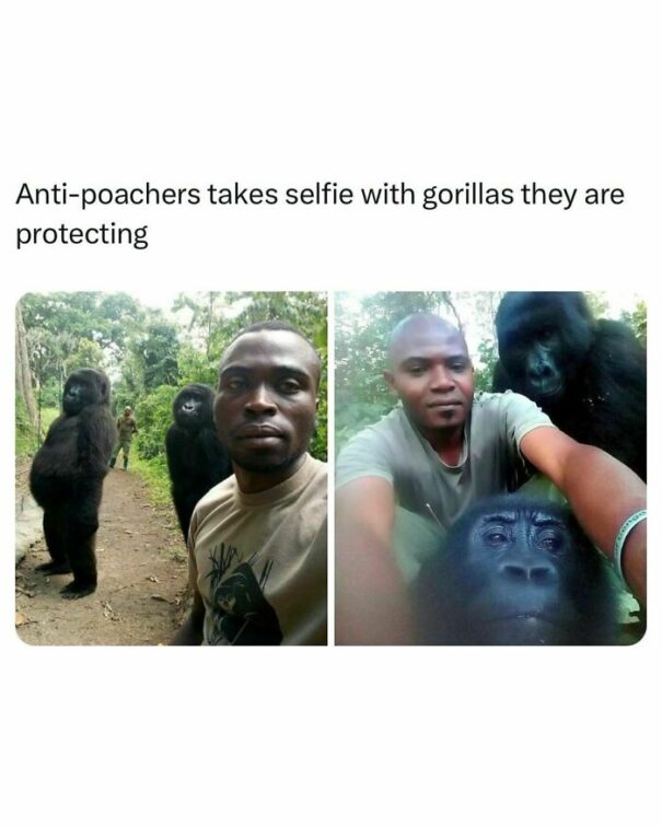 40 Relatable Memes For Men From A Page That Posts Daily Content | DeMilked