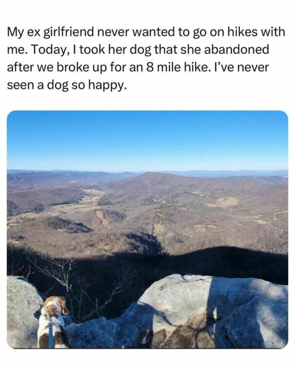 40 Relatable Memes For Men From A Page That Posts Daily Content | DeMilked