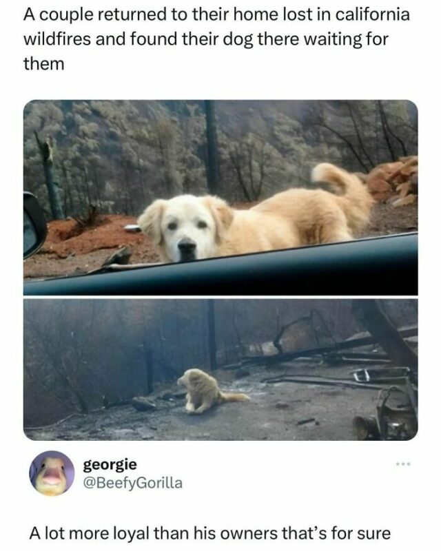 40 Relatable Memes For Men From A Page That Posts Daily Content | DeMilked