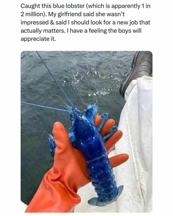 40 Relatable Memes For Men From A Page That Posts Daily Content | DeMilked