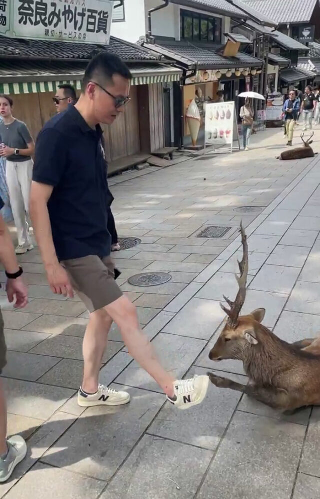 40 Of The Most Ignorant And Rude Behaviours Exhibited By Tourists ...