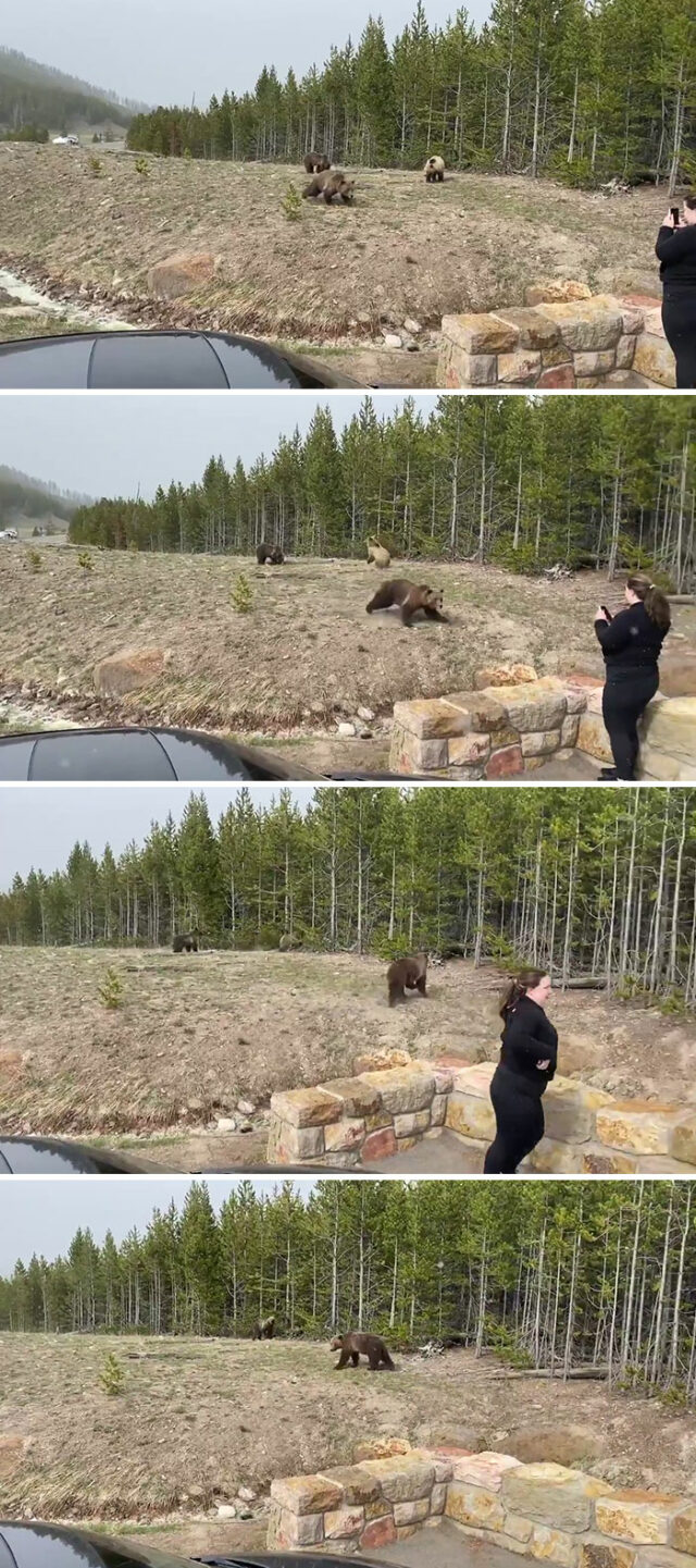 40 Of The Most Ignorant And Rude Behaviours Exhibited By Tourists ...