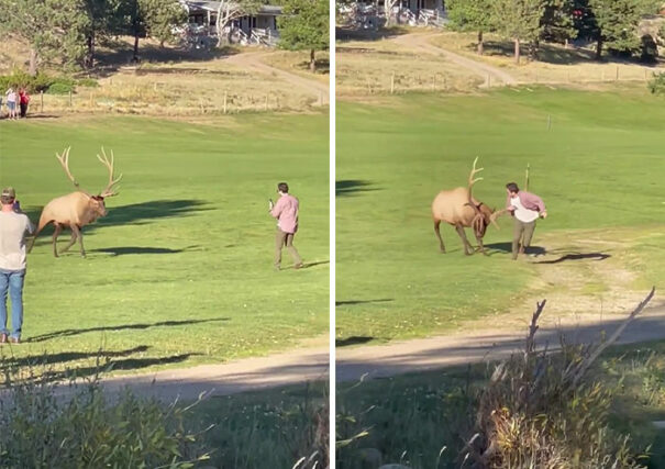 40 Of The Most Ignorant And Rude Behaviours Exhibited By Tourists ...