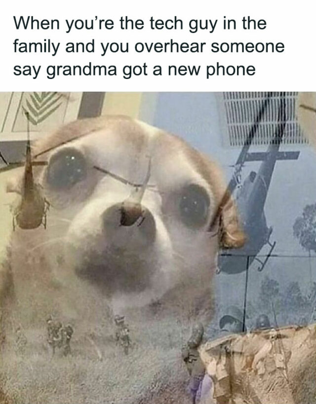 40 Random Memes That Are Funny And Relatable To Distract Yourself With ...