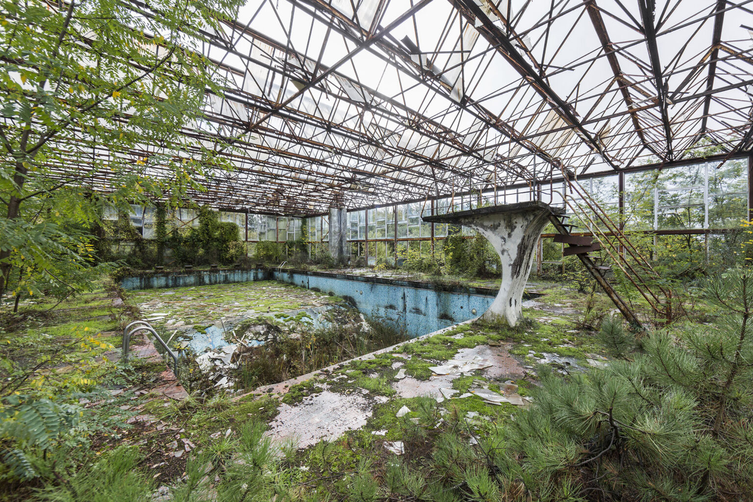 From Factories To Churches, Jonk Shows How Nature Transforms Abandoned ...
