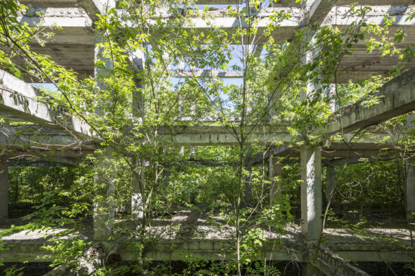 From Factories To Churches, Jonk Shows How Nature Transforms Abandoned ...