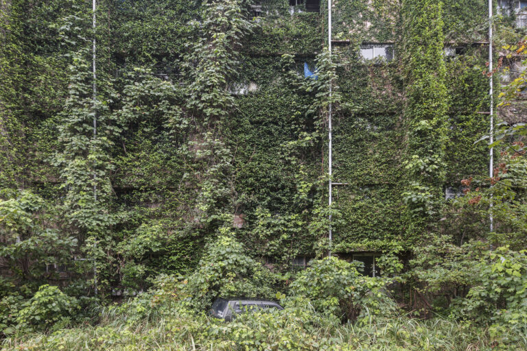 From Factories To Churches, Jonk Shows How Nature Transforms Abandoned ...