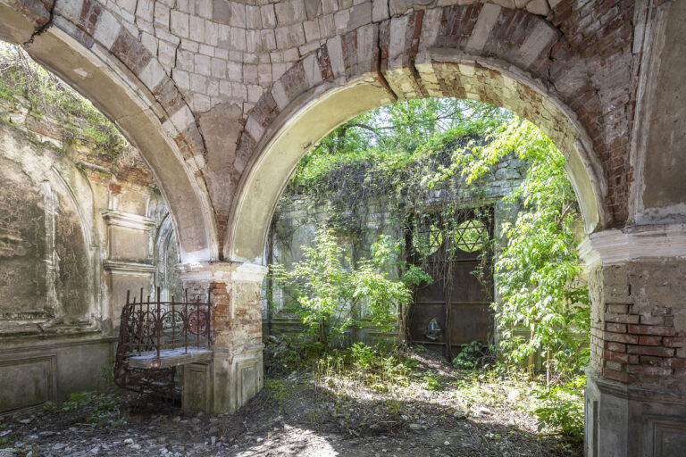 From Factories To Churches, Jonk Shows How Nature Transforms Abandoned ...