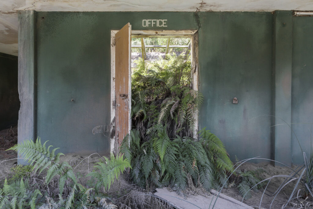 From Factories To Churches, Jonk Shows How Nature Transforms Abandoned ...