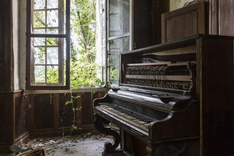 From Factories To Churches, Jonk Shows How Nature Transforms Abandoned ...