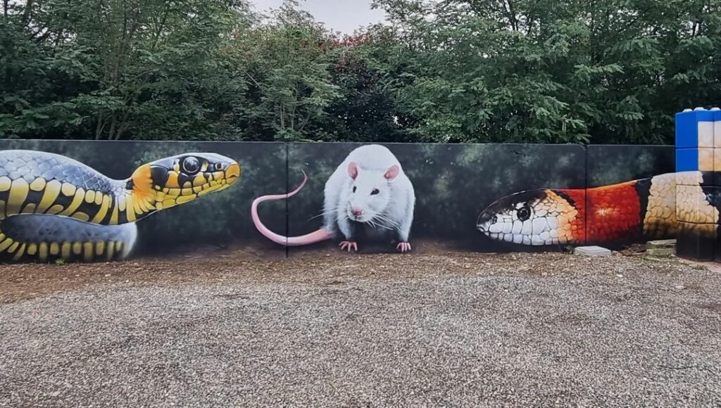 Artist Cosimo Cheone Caiffa Transforms Buildings Into Living Art By ...