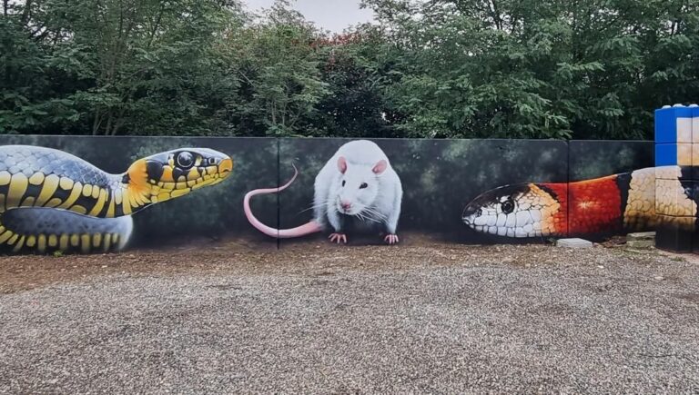 Artist Cosimo Cheone Caiffa Transforms Buildings Into Living Art By ...