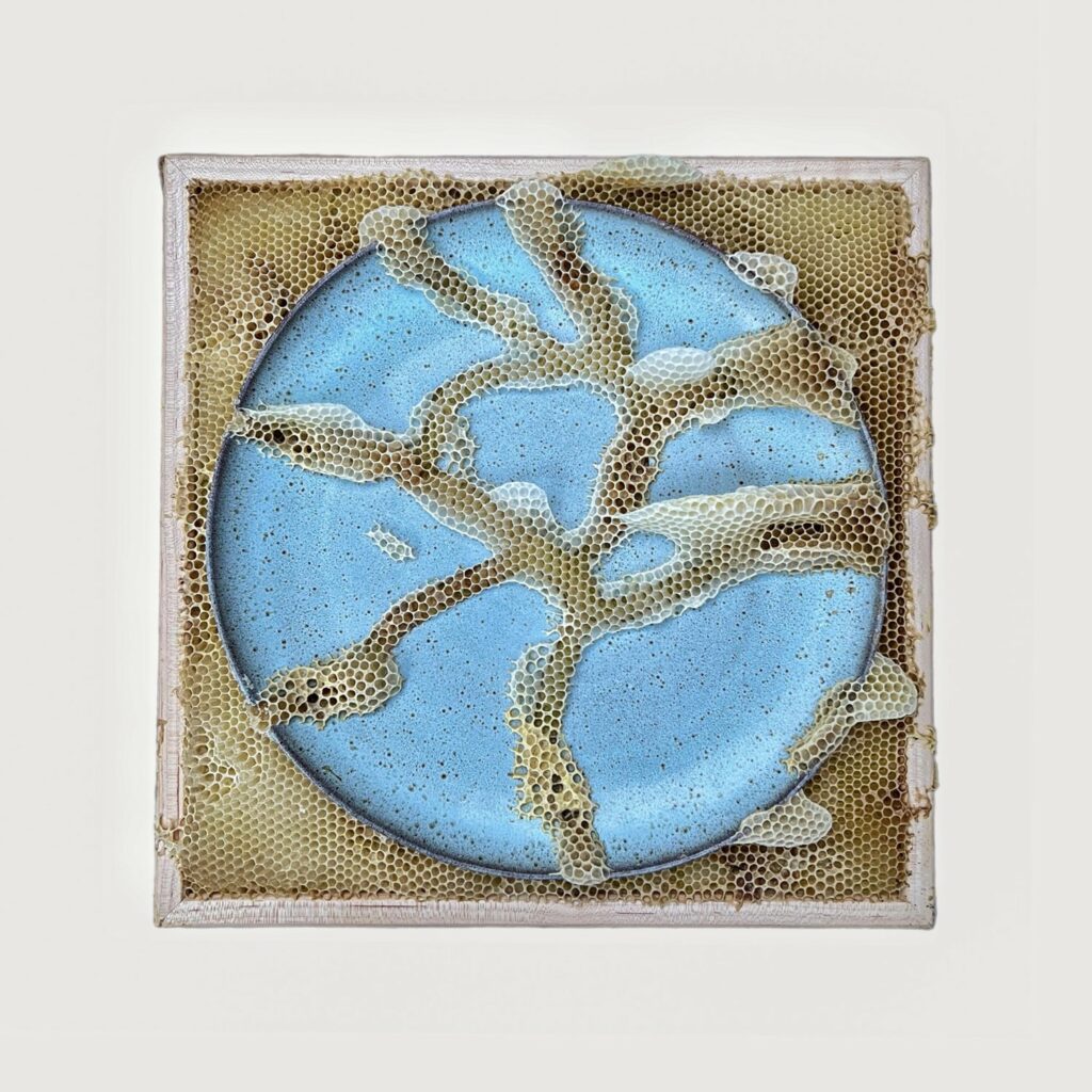 Artist Uses Bees As Art Collaborators For Her Delicate Sculptures (15 ...