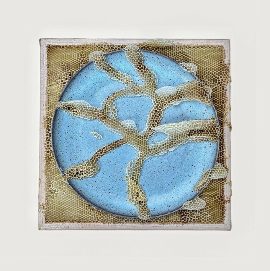 Artist Uses Bees As Art Collaborators For Her Delicate Sculptures (15 ...