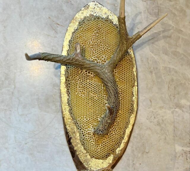 Artist Uses Bees As Art Collaborators For Her Delicate Sculptures (15 ...