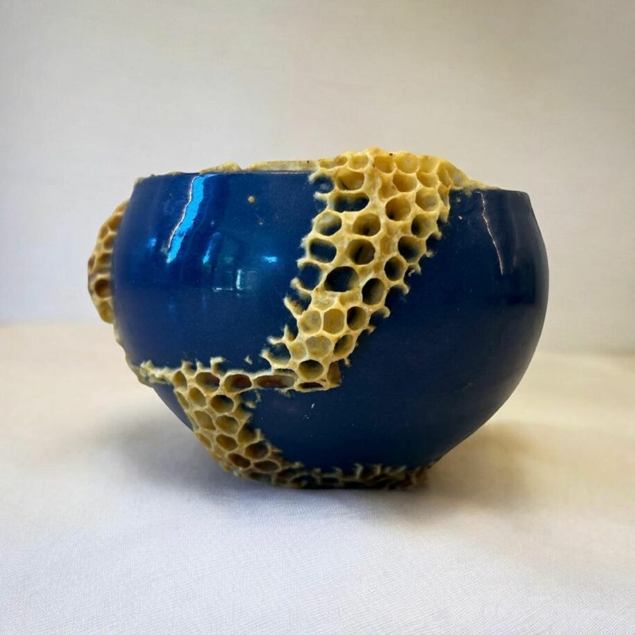 Artist Uses Bees As Art Collaborators For Her Delicate Sculptures (15 ...