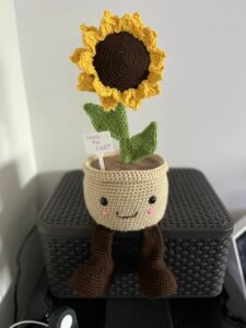 25 Times People Couldn't Resist Sharing Their Best Crochet Projects In ...