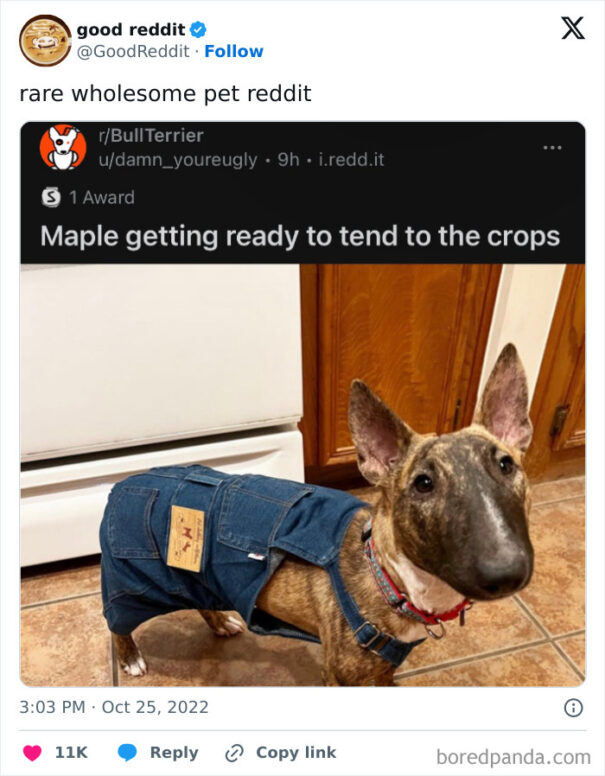 30 Sweet Tweets To Brighten Your Mood When Everything Feels ...