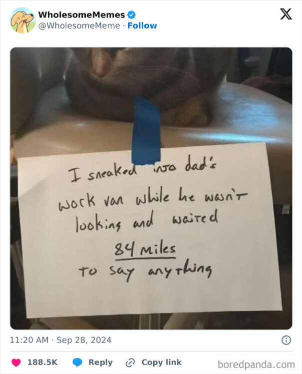 30 Sweet Tweets To Brighten Your Mood When Everything Feels ...