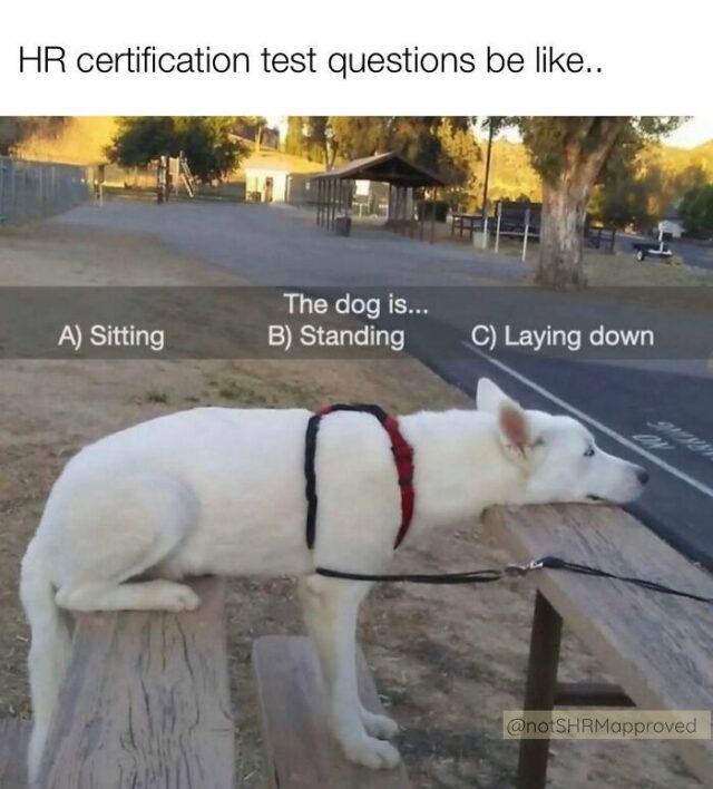 "HR Nightmares": 25 Painfully Accurate Human Resources Memes | DeMilked