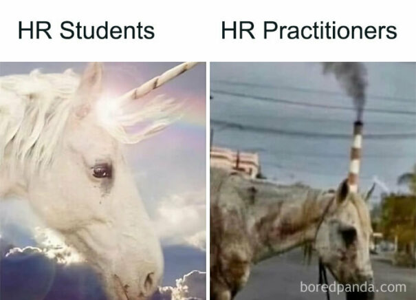 "HR Nightmares": 25 Painfully Accurate Human Resources Memes | DeMilked