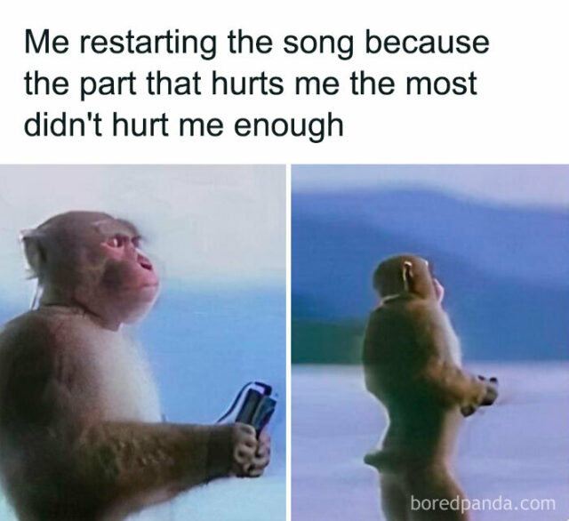 “More Memes Dammit”: 40 Funny Memes To Fight Boredom With | DeMilked