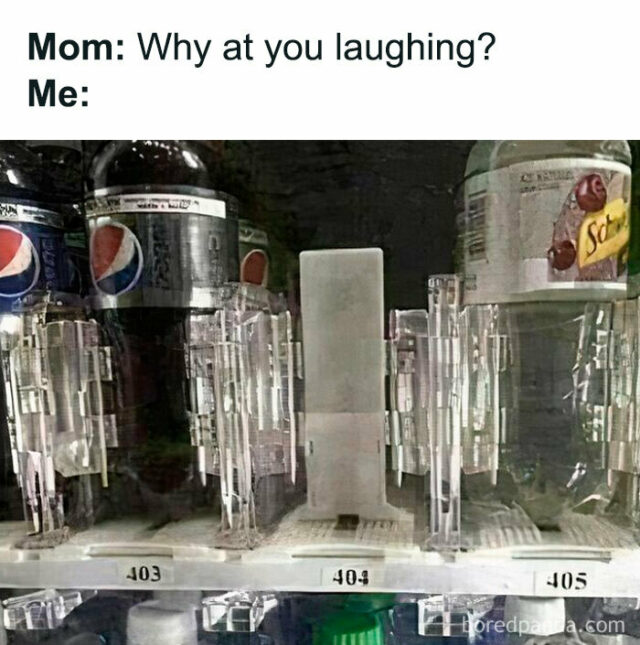 “More Memes Dammit”: 40 Funny Memes To Fight Boredom With | DeMilked