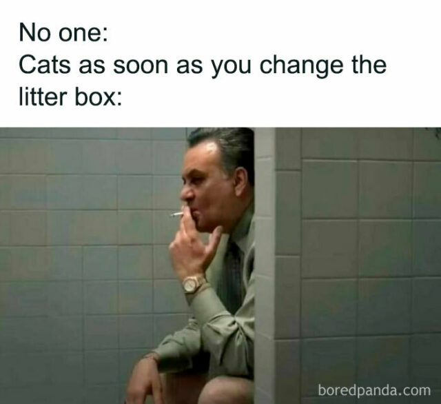 “More Memes Dammit”: 40 Funny Memes To Fight Boredom With | DeMilked