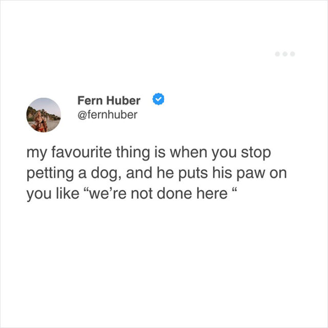 35 Tweets That Reflect Life’s Most Unexpectedly Hilarious Moments ...