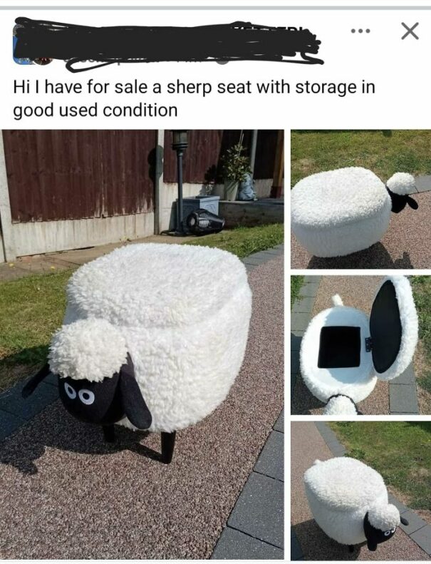 25 Times People Posted Hilariously Wild Ads To Sell Something | DeMilked