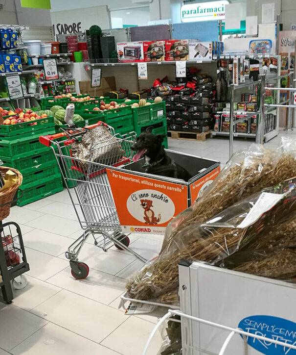 40 Photos Of The Most Creative Design Concepts By Stores | DeMilked