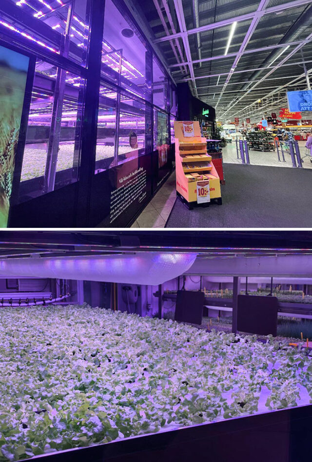40 Photos Of The Most Creative Design Concepts By Stores | DeMilked