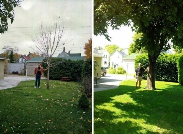 25 Photos Of Trees On An Incredible Growth Journey | DeMilked